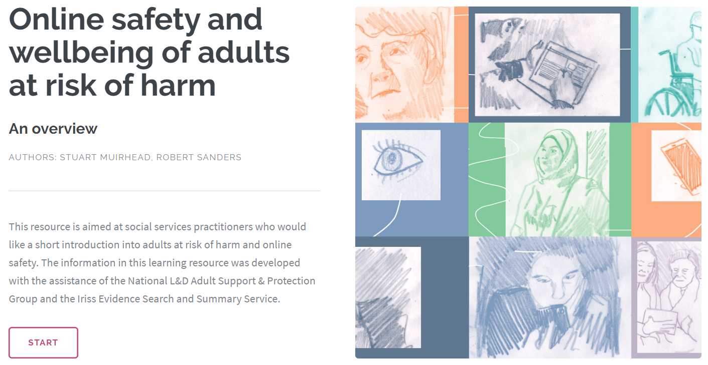 Online safety and wellbeing of adults at risk of harm – Online safety ...